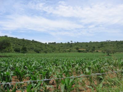 NSUZE IRRIGATION PROJECT - JG Afrika