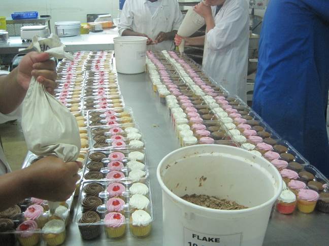 COMPASS BAKERY ENVIRONMENTAL BASELINE STUDY - JG Afrika